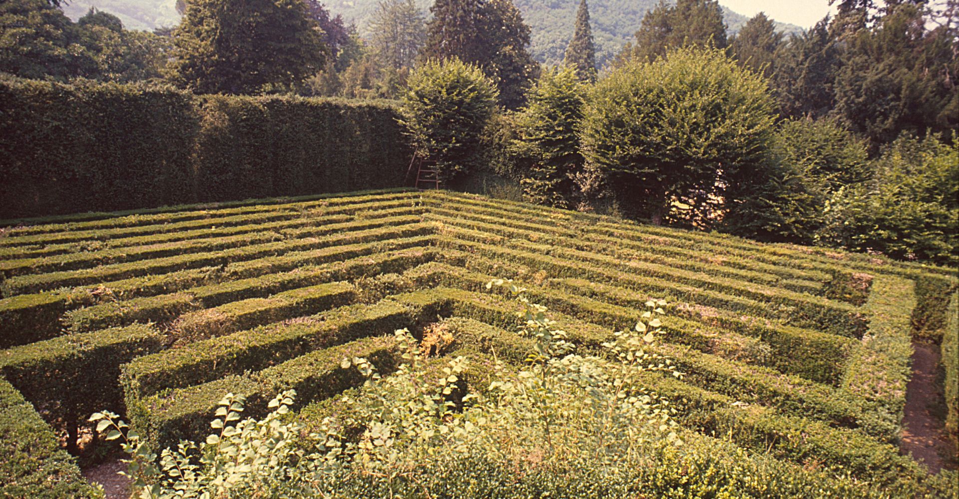 Guide to the Venetian Villas | Venetoinside